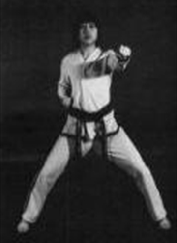 Pattern: Yul-Gok Tul | Intrepid Taekwondo