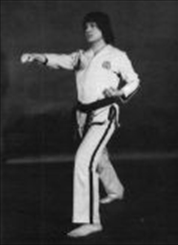 Pattern: Yul-Gok Tul | Intrepid Taekwondo