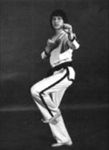 Pattern: Yul-Gok Tul | Intrepid Taekwondo