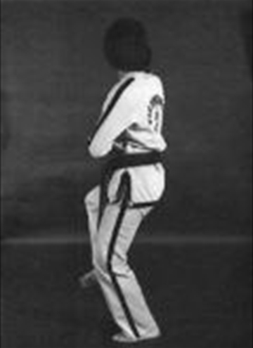 Pattern: Yul-Gok Tul | Intrepid Taekwondo