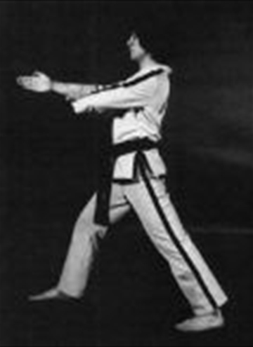 Pattern: Yul-Gok Tul | Intrepid Taekwondo