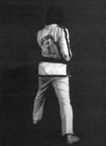 Pattern: Yul-Gok Tul | Intrepid Taekwondo