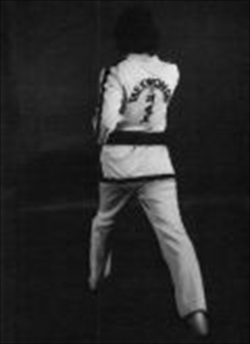 Pattern: Yul-Gok Tul | Intrepid Taekwondo