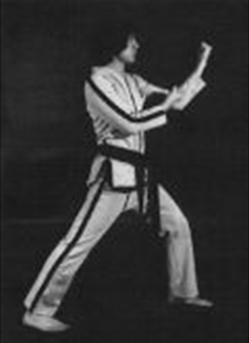 Pattern: Yul-Gok Tul | Intrepid Taekwondo