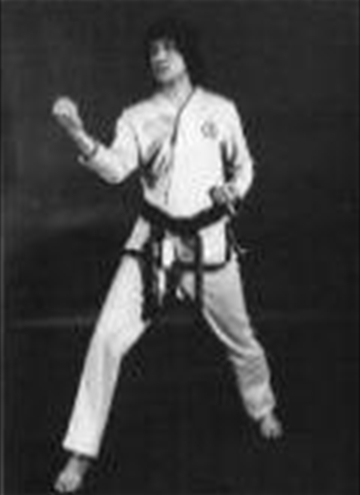 Pattern: Yul-Gok Tul | Intrepid Taekwondo