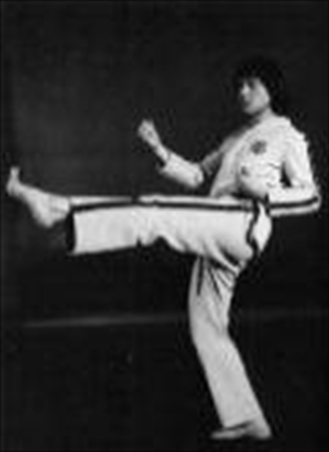 Pattern: Yul-Gok Tul | Intrepid Taekwondo