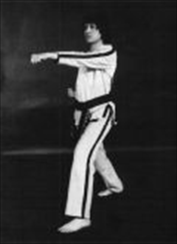 Pattern: Yul-Gok Tul | Intrepid Taekwondo