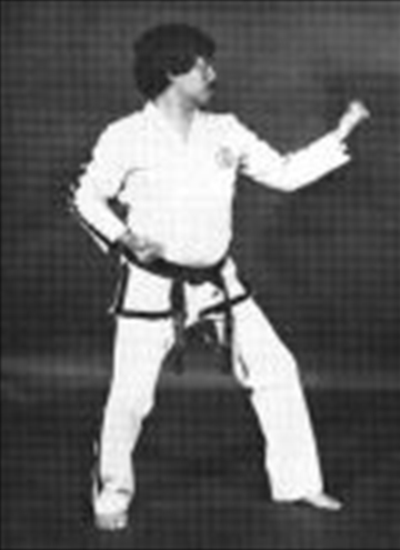 Patterns: Toi-Gye Tul | Intrepid Taekwondo