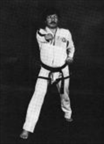 Patterns: Toi-Gye Tul | Intrepid Taekwondo