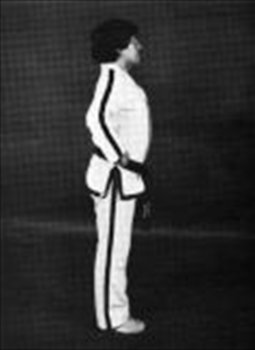 Patterns: Toi-Gye Tul | Intrepid Taekwondo