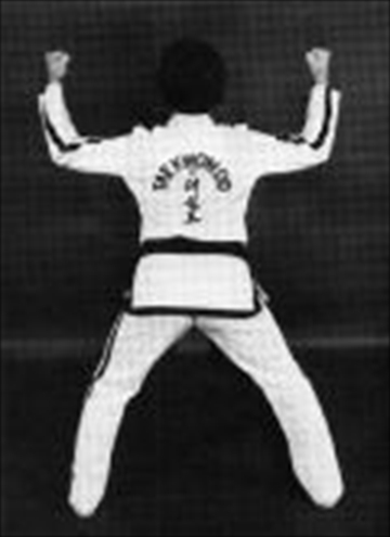 Patterns: Toi-Gye Tul | Intrepid Taekwondo