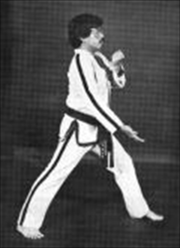 Patterns: Toi-Gye Tul | Intrepid Taekwondo