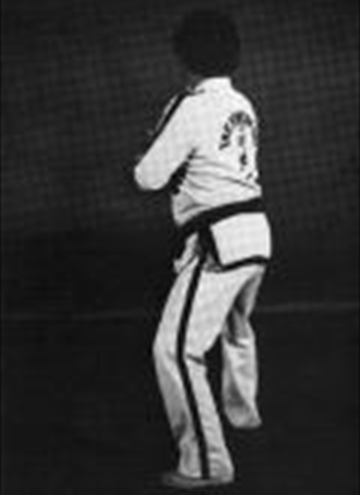 Patterns: Toi-Gye Tul | Intrepid Taekwondo