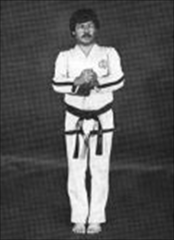 Patterns: Toi-Gye Tul | Intrepid Taekwondo