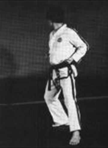 Pattern: Hwa-Rang Tul | Intrepid Taekwondo