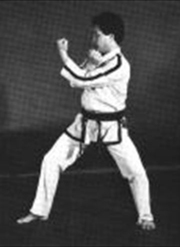 Pattern: Hwa-Rang Tul | Intrepid Taekwondo