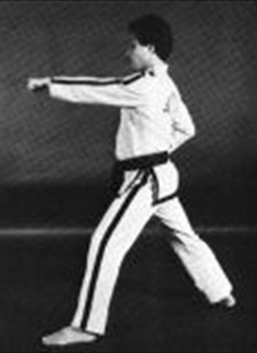 Pattern: Hwa-Rang Tul | Intrepid Taekwondo