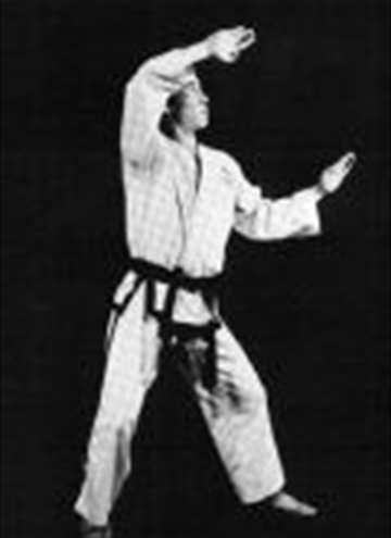 Pattern: Choong-Moo | Intrepid Taekwondo