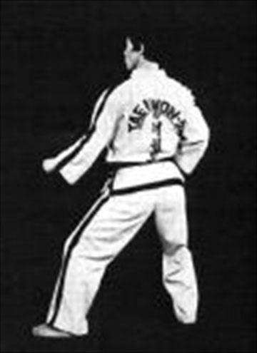 Pattern: Choong-Moo | Intrepid Taekwondo