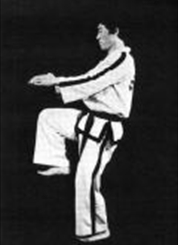Pattern: Choong-Moo | Intrepid Taekwondo