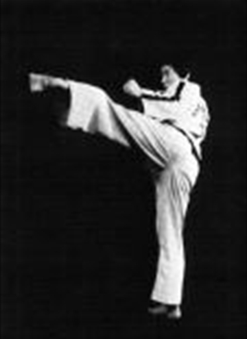 Pattern: Choong-Moo | Intrepid Taekwondo