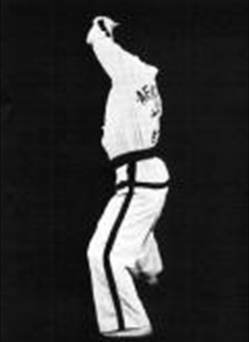 Pattern: Choong-Moo | Intrepid Taekwondo