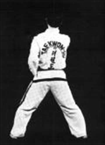 Pattern: Choong-Moo | Intrepid Taekwondo