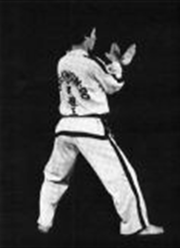 Pattern: Choong-Moo | Intrepid Taekwondo