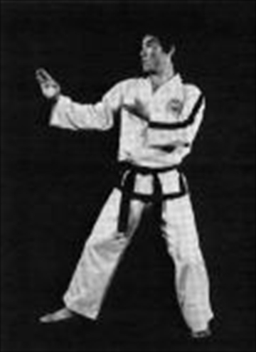 Pattern: Choong-Moo | Intrepid Taekwondo