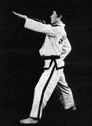 Pattern: Choong-Moo | Intrepid Taekwondo