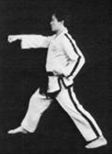 Pattern: Chon-Ji Tul | Intrepid Taekwondo