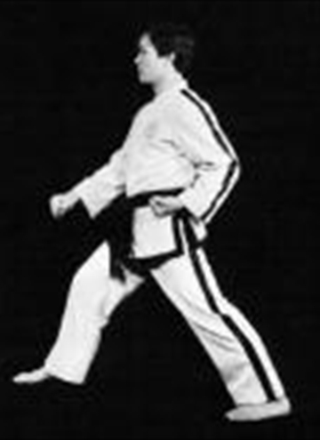 Pattern: Chon-Ji Tul | Intrepid Taekwondo