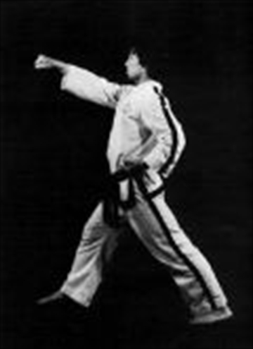 Pattern: Dan-Gun Tul | Intrepid Taekwondo