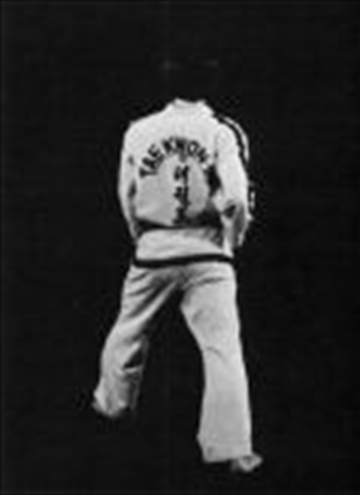 Pattern: Dan-Gun Tul | Intrepid Taekwondo