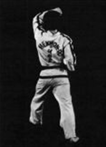 Pattern: Dan-Gun Tul | Intrepid Taekwondo