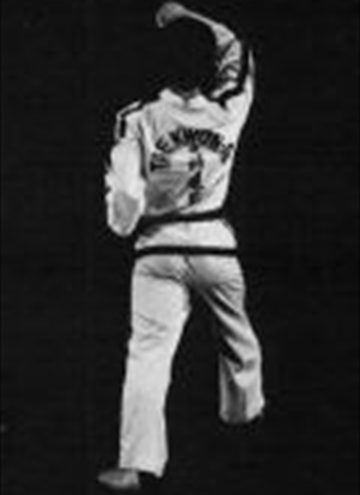 Pattern: Dan-Gun Tul | Intrepid Taekwondo