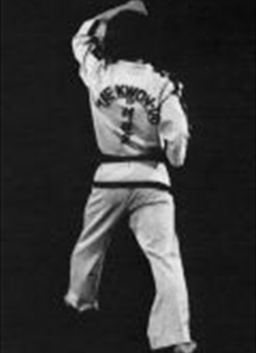 Pattern: Dan-Gun Tul | Intrepid Taekwondo