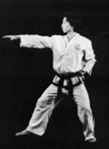 Pattern: Dan-Gun Tul | Intrepid Taekwondo