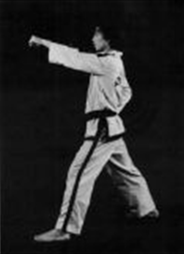 Pattern: Dan-Gun Tul | Intrepid Taekwondo