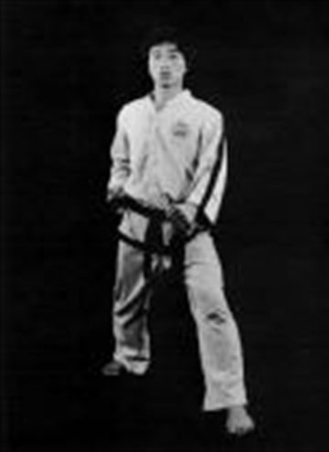 Pattern: Dan-Gun Tul | Intrepid Taekwondo