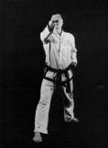 Pattern: Dan-Gun Tul | Intrepid Taekwondo