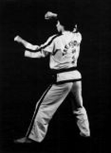 Pattern: Dan-Gun Tul | Intrepid Taekwondo
