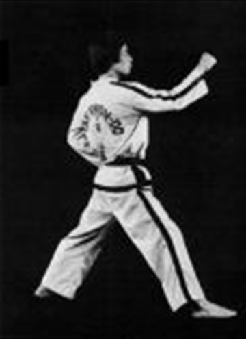 Pattern: Do-San Tul | Intrepid Taekwondo