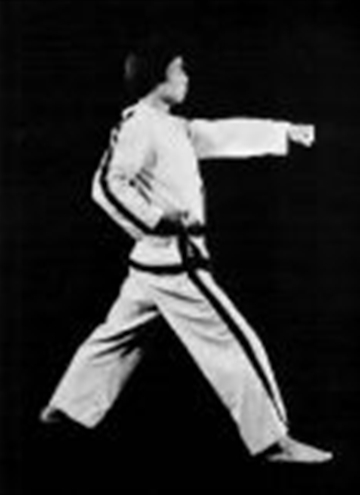 Pattern: Do-San Tul | Intrepid Taekwondo