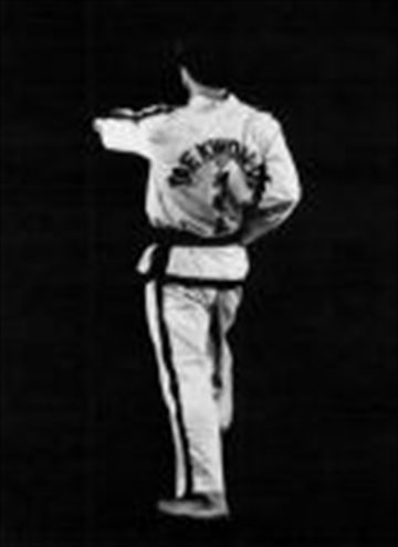Pattern: Do-San Tul | Intrepid Taekwondo