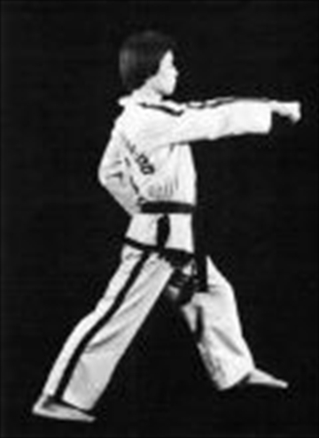 Pattern: Do-San Tul | Intrepid Taekwondo