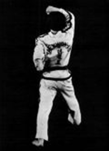 Pattern: Do-San Tul | Intrepid Taekwondo