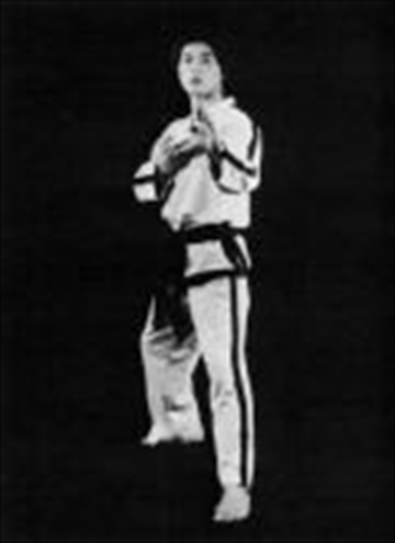 Pattern: Do-San Tul | Intrepid Taekwondo