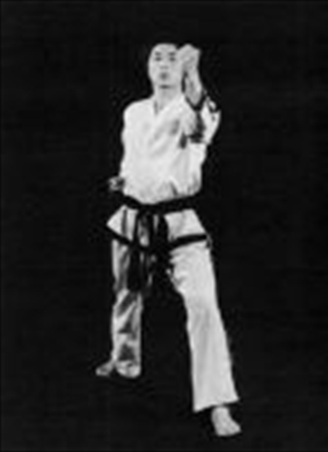 Pattern: Do-San Tul | Intrepid Taekwondo