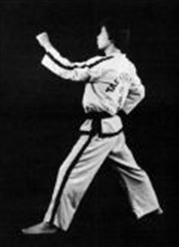 Pattern: Do-San Tul | Intrepid Taekwondo